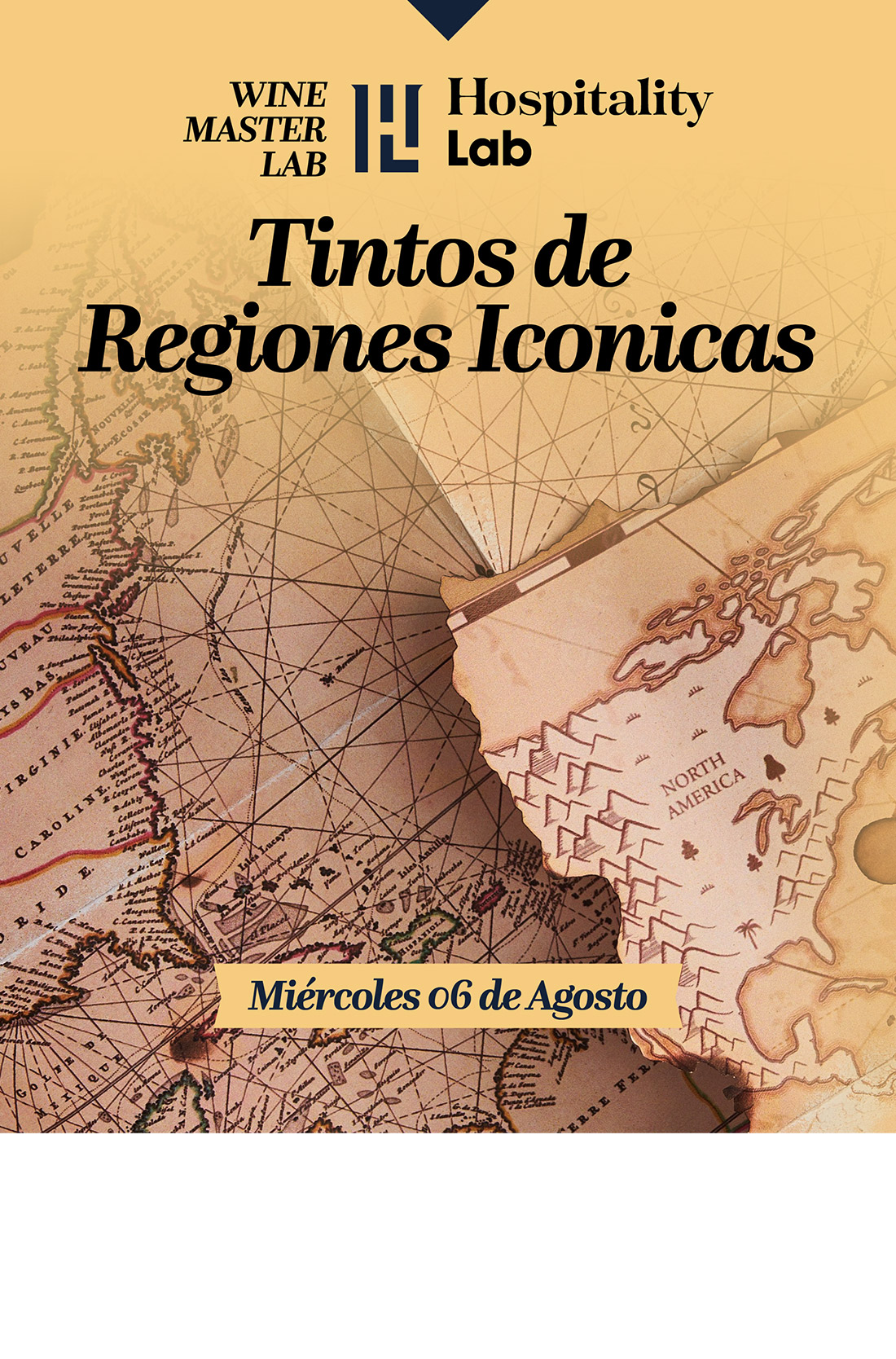 Programas - Hospitality LAB